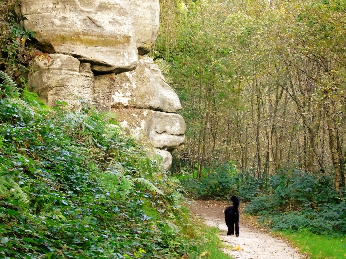 Eridge Rocks early autumn – Broadwater Forest Cottages
